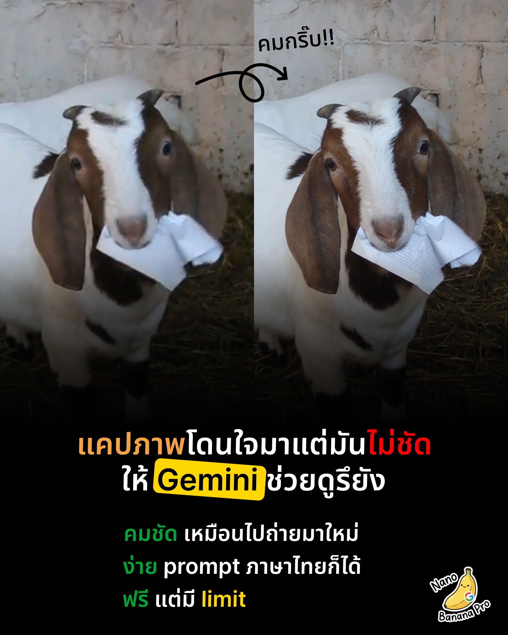 วิธีขยายภาพให้คมชัดด้วย Gemini Pro และ Nano Banana 2 · Peerasak